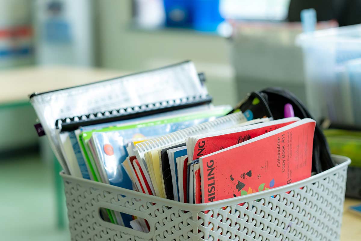 Board of Management Update - School Framework